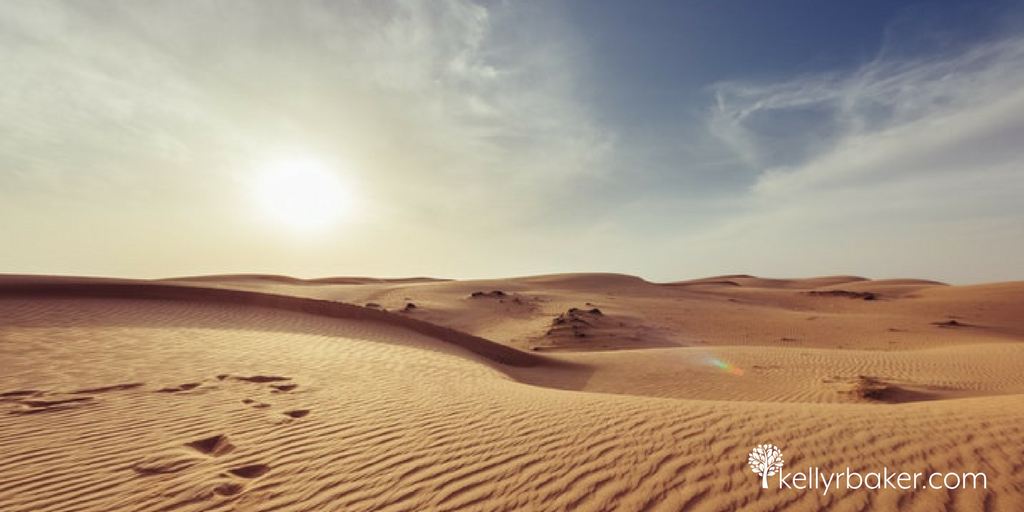 God's Purpose When You're Spiritually Dry - Kelly R Baker