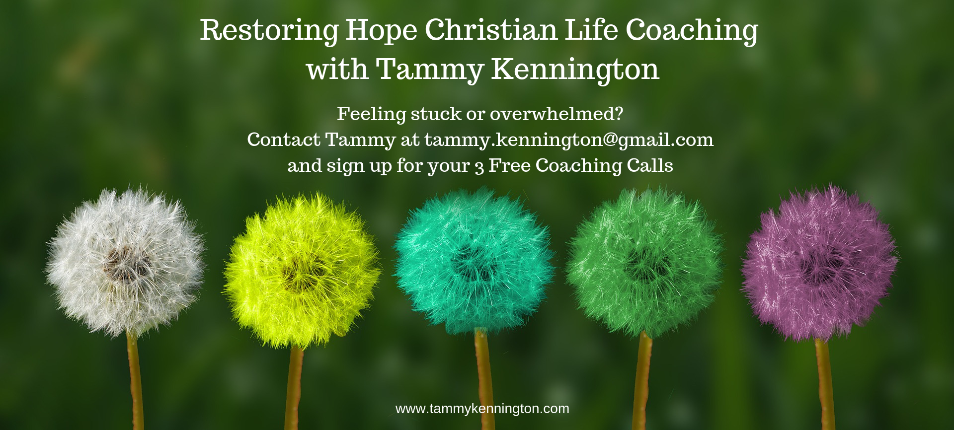 3 Action Steps to Find Freedom from a Wounded Spirit - Kelly R Baker